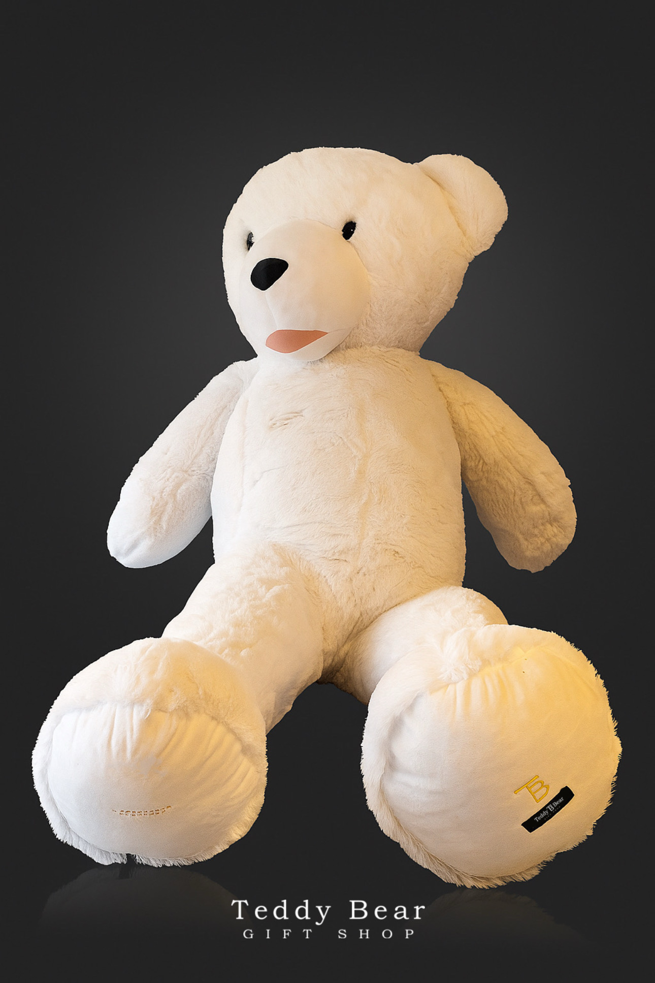 Teddy Bear ® White 2m 2025 – Teddy Bear